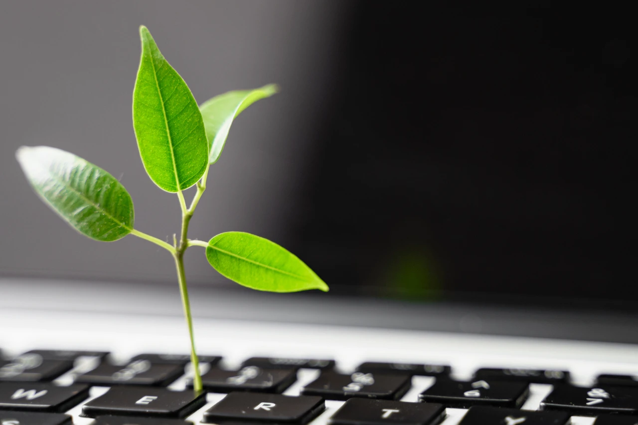 Comment appliquer les bonnes pratiques du GreenIT avec le CMS Drupal